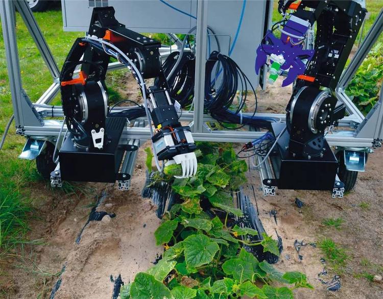 Harvest robot